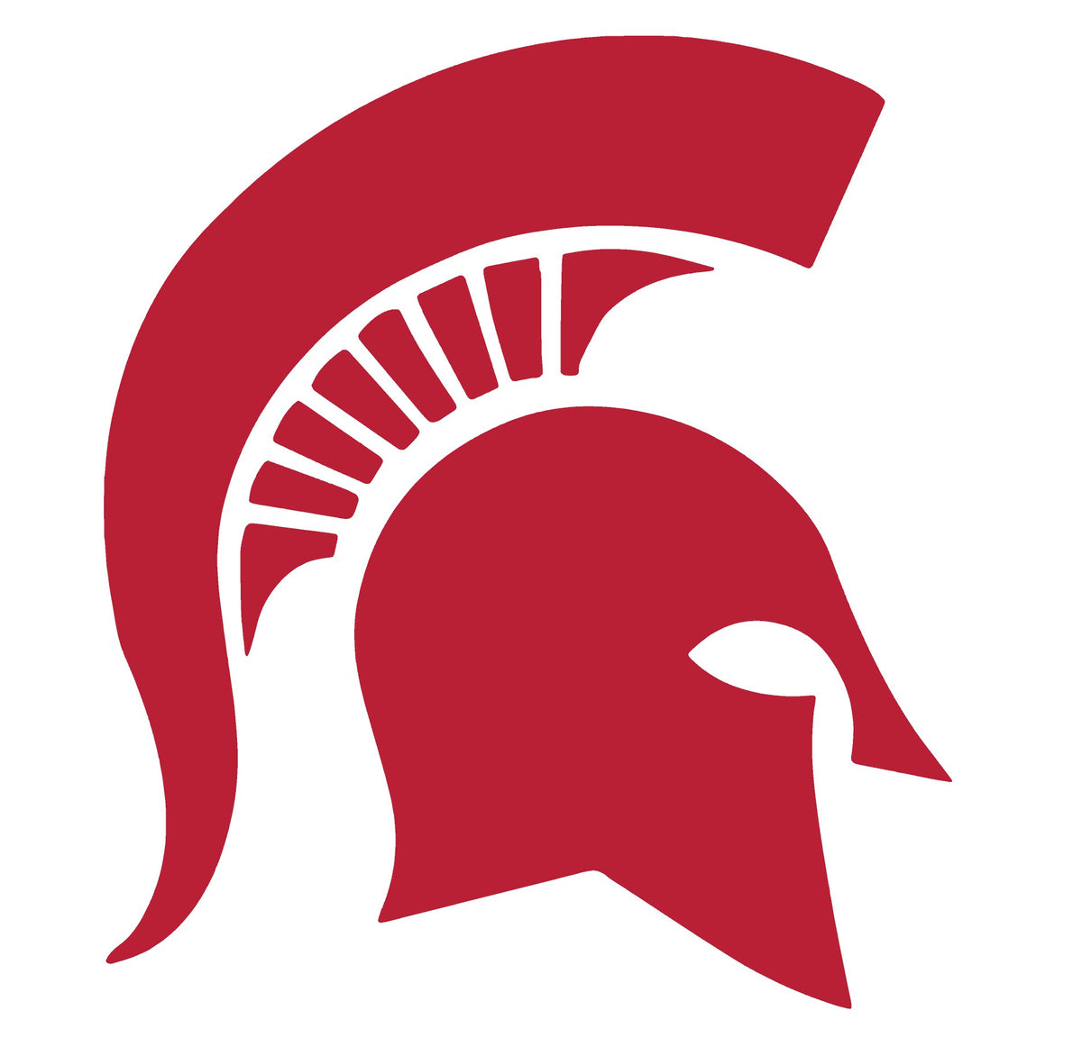 Go Spartans! (SCSD) – Peck Projects Design Co